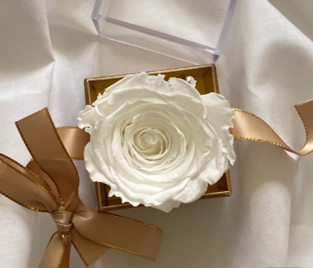 White Rose in a box - Flowers Wellington